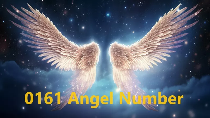 0161 Angel Number Meaning: Love, Career, Twin Flame & Money ...
